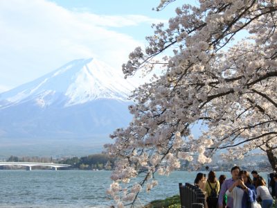 富士山が見える河口湖・道の駅近くの日帰り温泉「富士眺望の湯 ゆらり」
